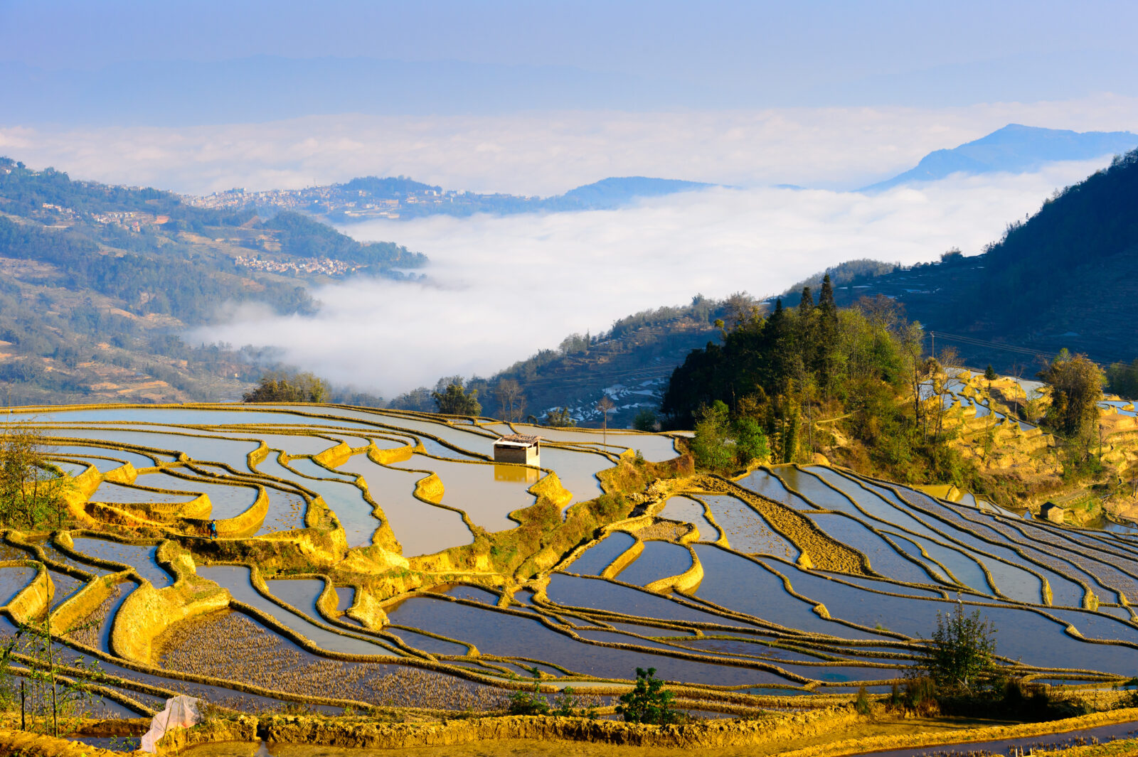 Yunnan Tea and Tourism: A Visit to Tea's Birthplace Offers Rich Rewards