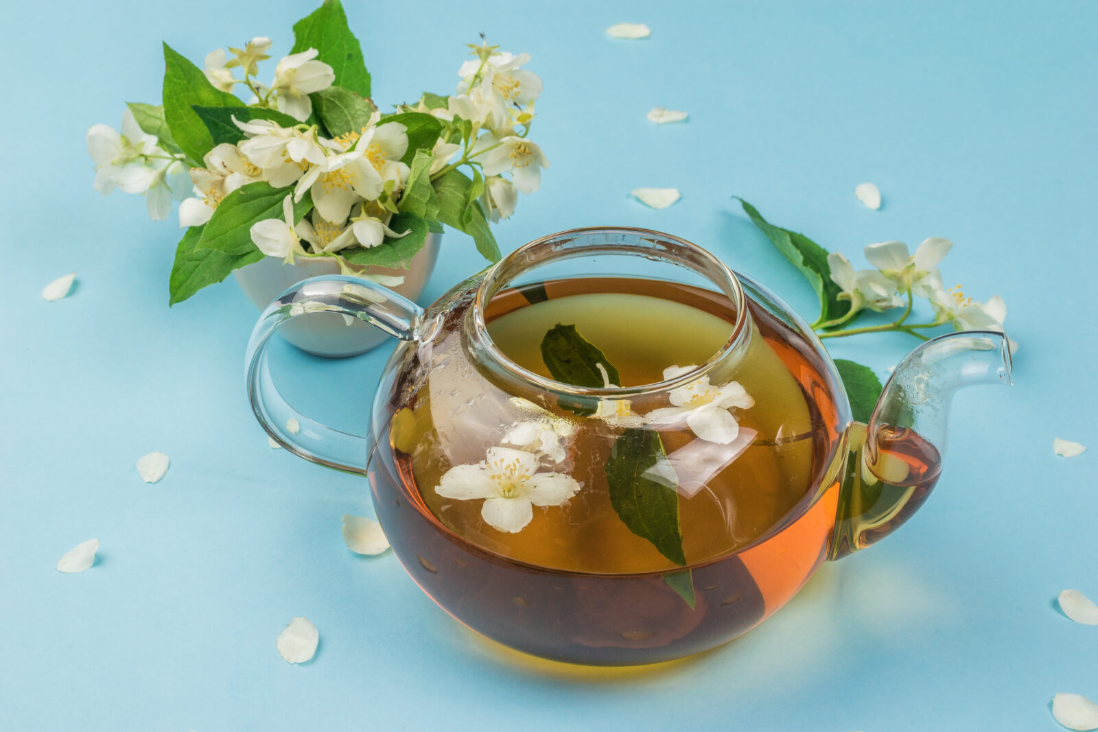 Back to School Teas for High School Kids and Parents