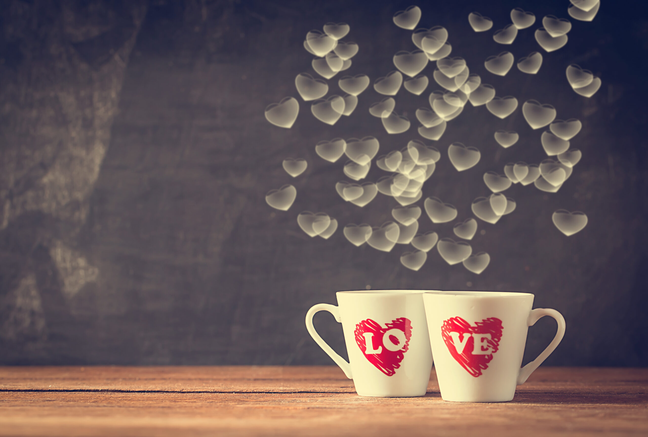 Ku Cha House of Tea | Denver | Boulder | Fort Collins | Colorado