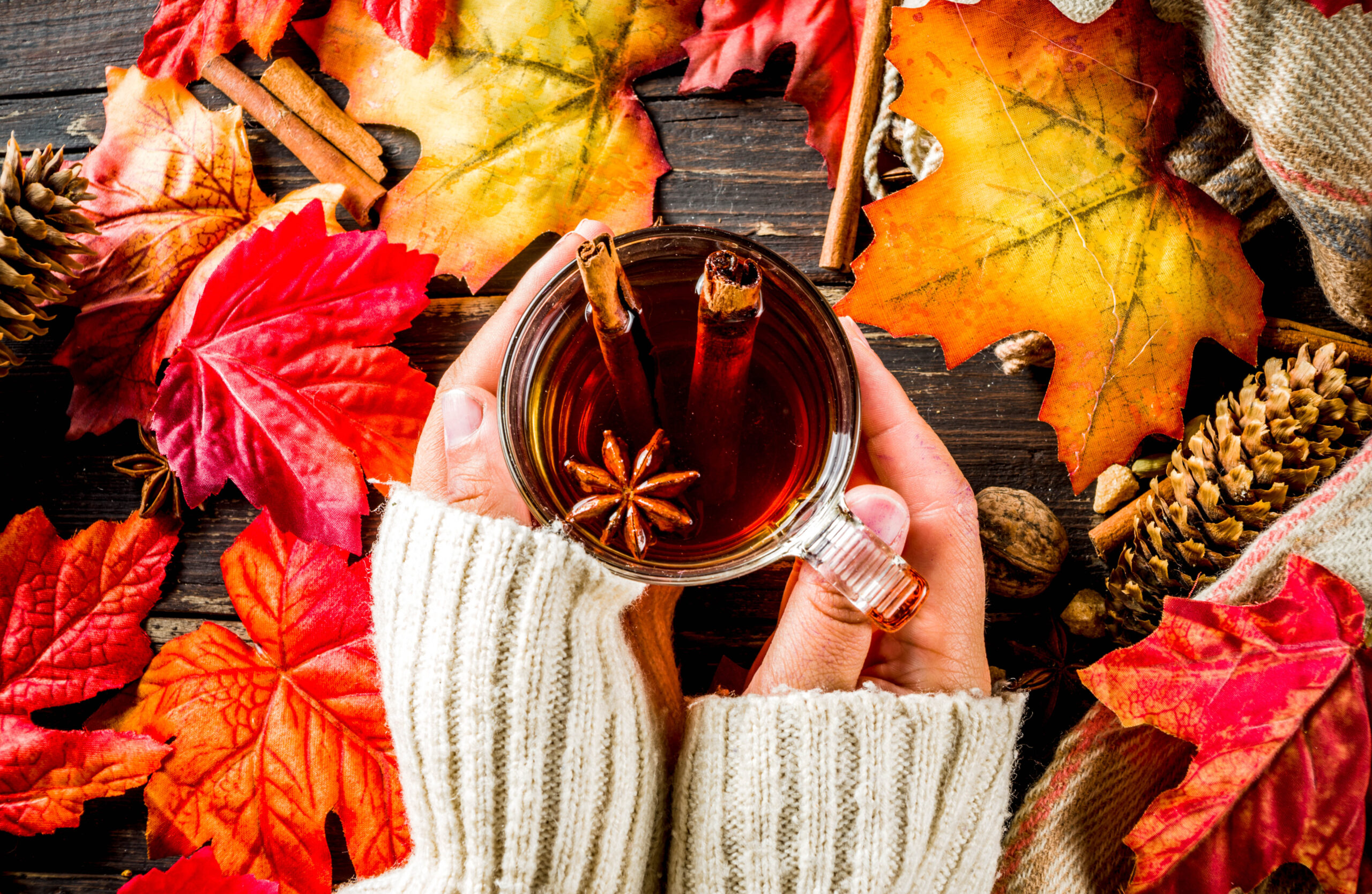 Autumn Teas Combine Fall-Happy Flavors and Ingenuity
