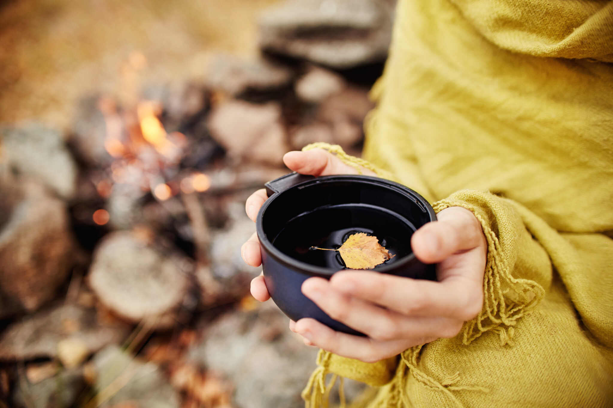 Ku Cha House of Tea | Denver | Boulder | Fort Collins | Lone Tree ...