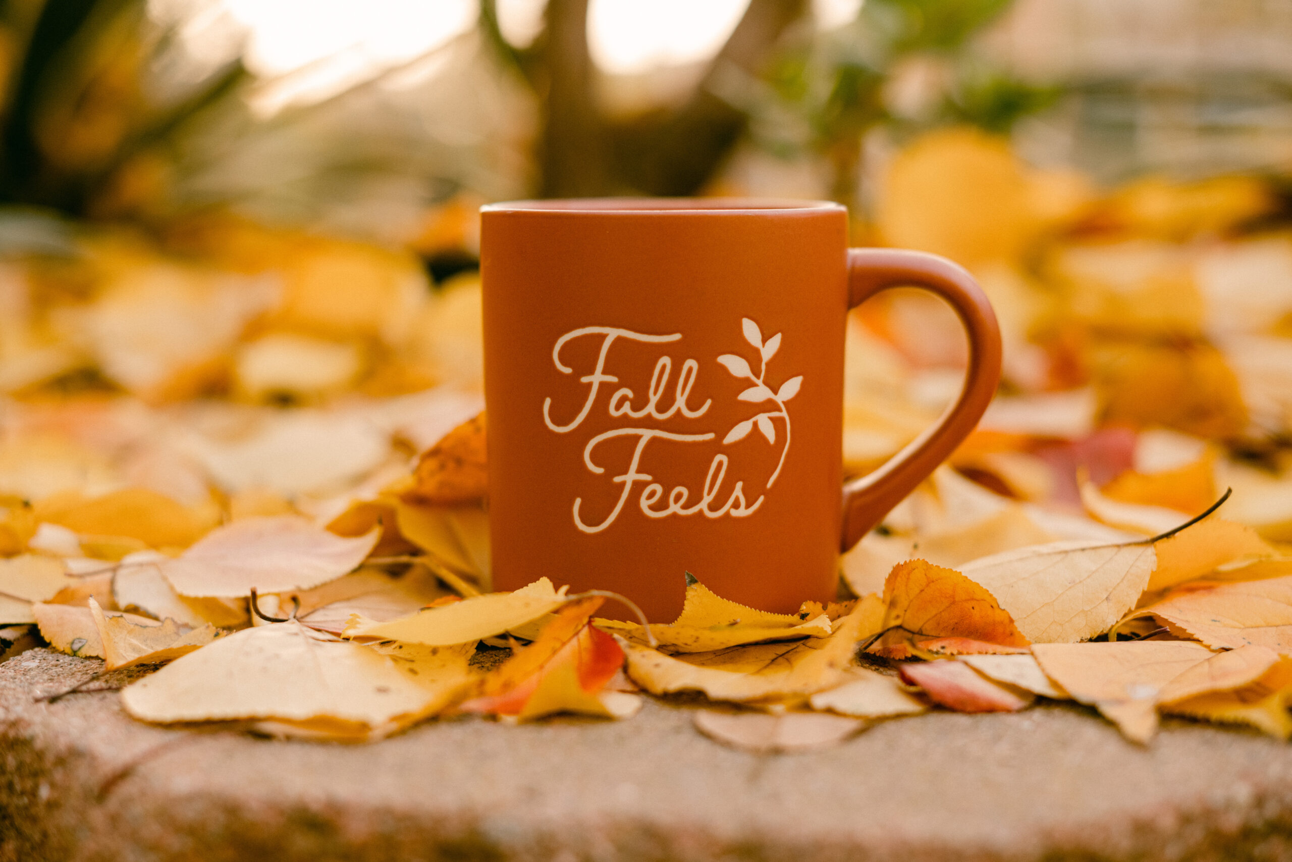 Earthy Teas Complement Fall and Mountain Leaf Peeping