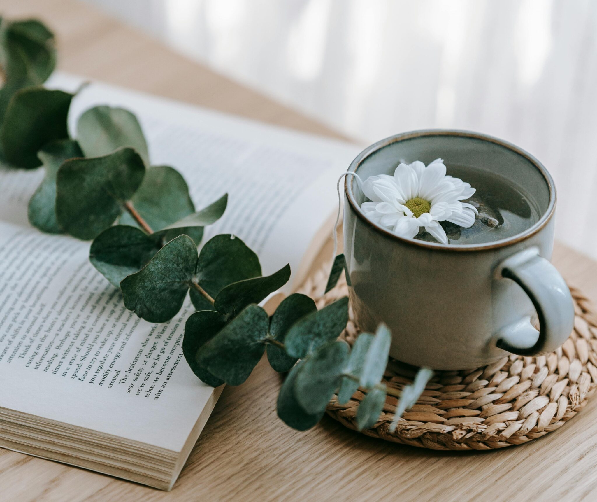 The 10 Best Tea Shops in Denver: A Local's Guide