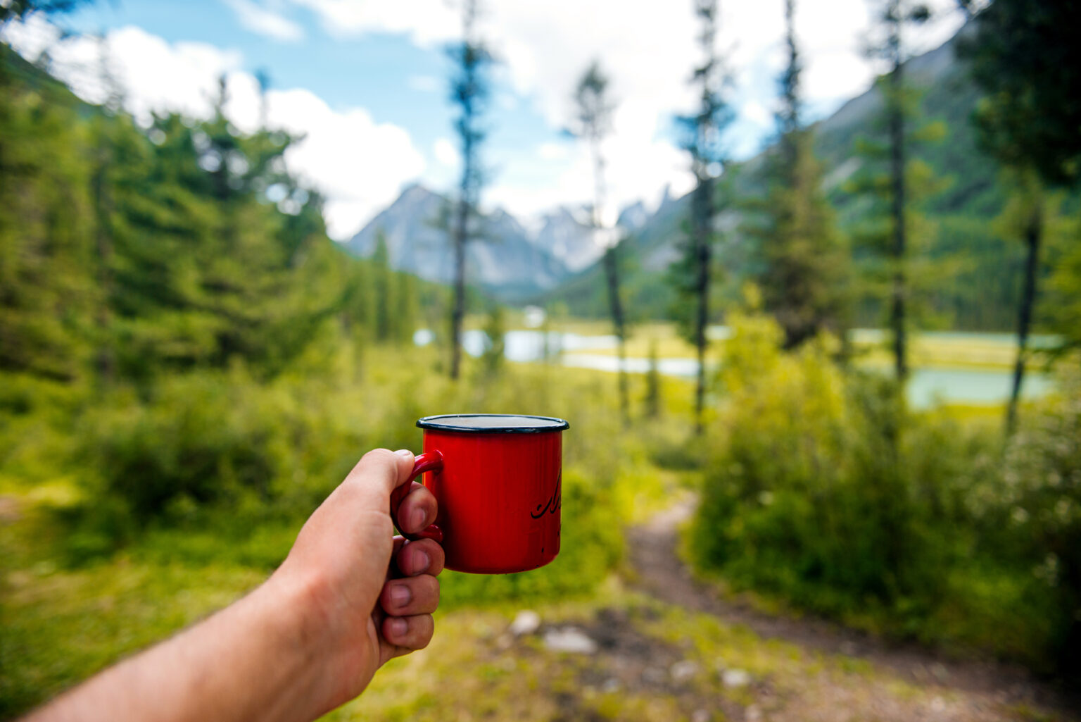 Ku Cha House of Tea - Colorado's Largest Tea Selection 250+