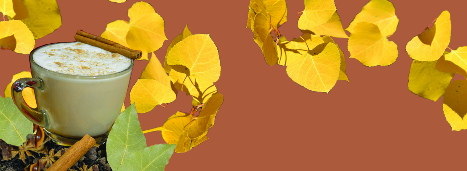 Ku Cha House of Tea | Denver | Boulder | Fort Collins | Lone Tree ...